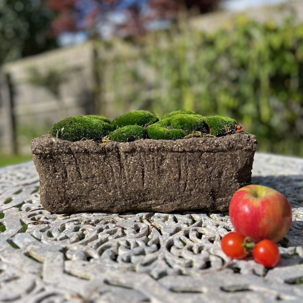 The Horninghold Low Trough